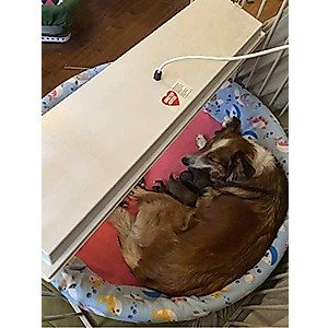 SWEETER HEATER Safe Heater for Chicks, Coops, & Animals, OH11x40, 150 Watt