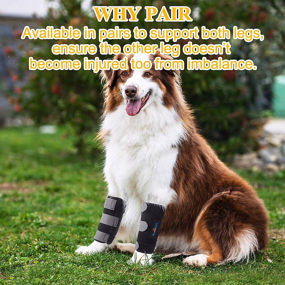 Bawektrl Dog Wrist Brace Compression Carpus Wraps with lateral Metal splints, Provide More Support for Canine Front Leg, Help with Cruciate Ligament, Wound Healing and Loss of Stability from Arthritis