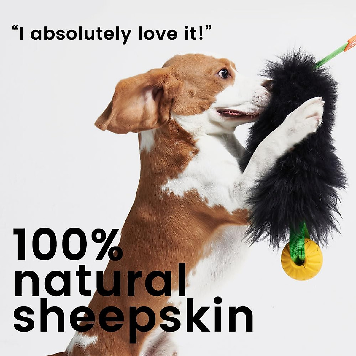 HOWGO Dog Rope Toy,Dog Bungee Chaser Toy 100% Sheepskin,Sheep Smell Tug Toy for All Breeds (Purple, Large)