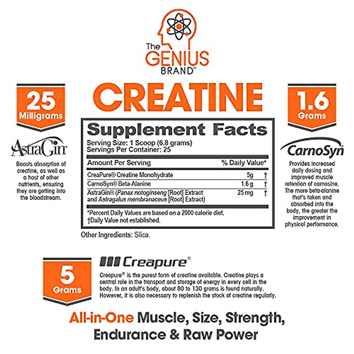 Genius Micronized Creatine Monohydrate Powder, Post Workout Supplement, Unflavored - 100% Naturally Flavored & Sweetened - Supports Muscle Building, Cellular Energy & Cognitive Function – 170g