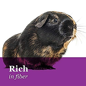 F.M. Brown's Tropical Carnival Gourmet Guinea Pig Food with Alfalfa and Timothy Hay Pellets - Vitamin-Nutrient Fortified Daily Diet - 5lb