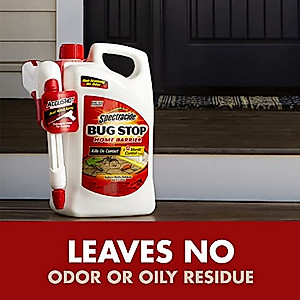 Spectracide Bug Stop Home Barrier, Kills Ants, Roaches and Spiders On Contact, Indoor and Outdoor Insect Control, 1.33 Gallon (RTU Accushot Spray), Plain
