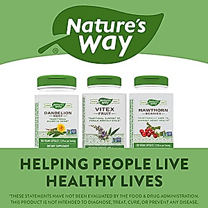 Nature’s Way Vitex Fruit, Traditional Support of Monthly Cycle*, Vegan, Non-GMO, 320 Capsules