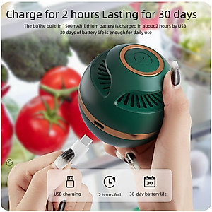 LYS Ornament Fridge Deodorizer, Mini USB Refrigerator Deodorizer,Refrigerator Odor Eliminator, Beats Baking Soda and Bamboo Charcoal Air Purifying Bags for Car,Closet,Shoes Cabinet,Fridge and Freezer