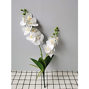 Suandsu 1 Bouquet Artificial Phalaenopsis Fake Butterfly Orchid Home Hotel Office Garden Craft Art Decor 19'' High White