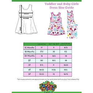 Blue's Clues & You Baby Toddler Girls Fit and Flare Ultra Soft Dress (24 Months, Baby Pink)