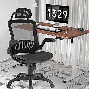 PayLessHere Ergonomic Office Chair Computer Chair High-Back with Rolling Swivel Desk Mesh Chair with Lumbar Support,Headrest,Flip-Up Arms and Adjustable Features (Black)