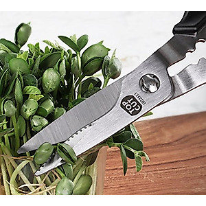 Top Cut 1022513 Heavy Duty Kitchen Shears and Multi Purpose Scissors, 9-Inch