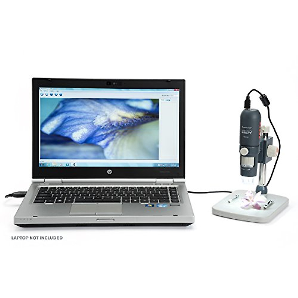 Celestron MicroDirect 1080p HD Handheld Digital Micro Viewing Digital Microscope, Grey (44316)