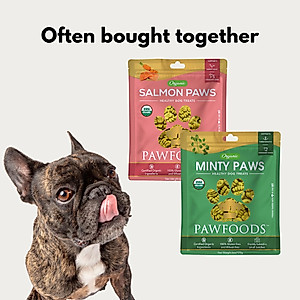 PawFoods Salmon Dog Treats - Organic Dog Treats with Salmon - Shiny Coat Healthy Skin, Omega 3 & 6, Low Calorie Dog Training Treats, Healthy Dog Treats - Approx. 60 Treats Per Bag - 170g - Made in USA
