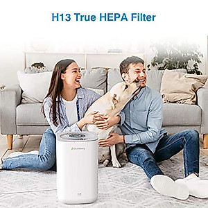 Storebary Air Purifier Replacement, C350-RF True HEPA High-Efficiency Activated Carbon Filter Fits for C350 (2 Pack)