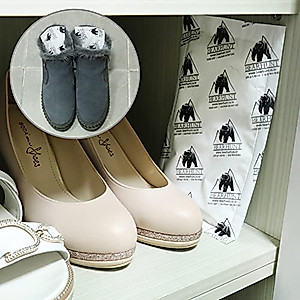 BEARHUNT Moisture Absorber Deodorant - Shoes, Closet, Tent etc. (0.36oz X 50pcs)