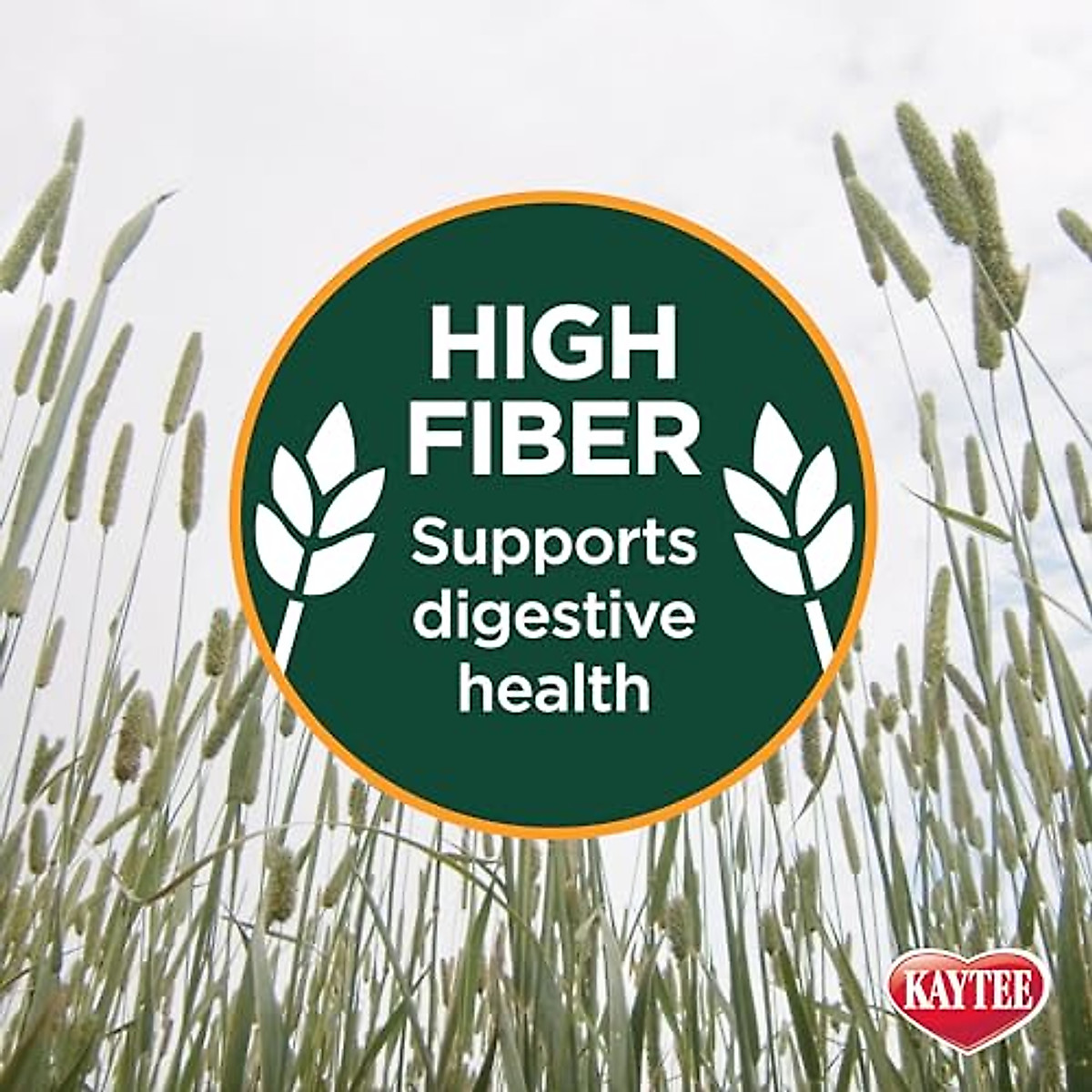 Kaytee 1st Cut Hearty and Crunchy Timothy Hay for Pet Guinea Pigs, Rabbits & Other Small Animals, 6.5 Pound