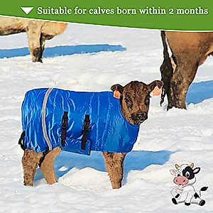 2 Packs Calf Blanket Livestock, Calf Blanket for Cold Weather Windproof and Waterproof, Calf Blanket Winter for Keeping Cow Warmming Thickened Belly Protection Blue