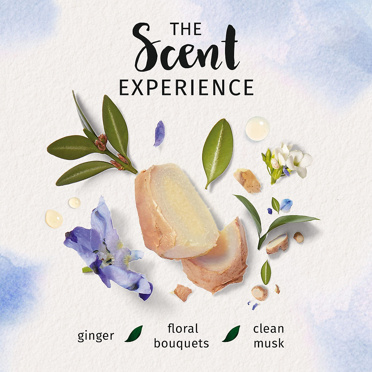 Herbal Essences bio:renew Blue Ginger Refresh Conditioner, 13.5 fl oz