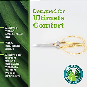 Premium Houseplant Scissors and Pruning Shears - Comfortable Grip Garden and Plant Clippers, Trimmers, Loppers, Flower Cutters, Made from 100% Stainless Steel