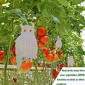 Home-X Guard Owl Decoy for Yard, Reflective Bird Deterrent Decoration with Bells