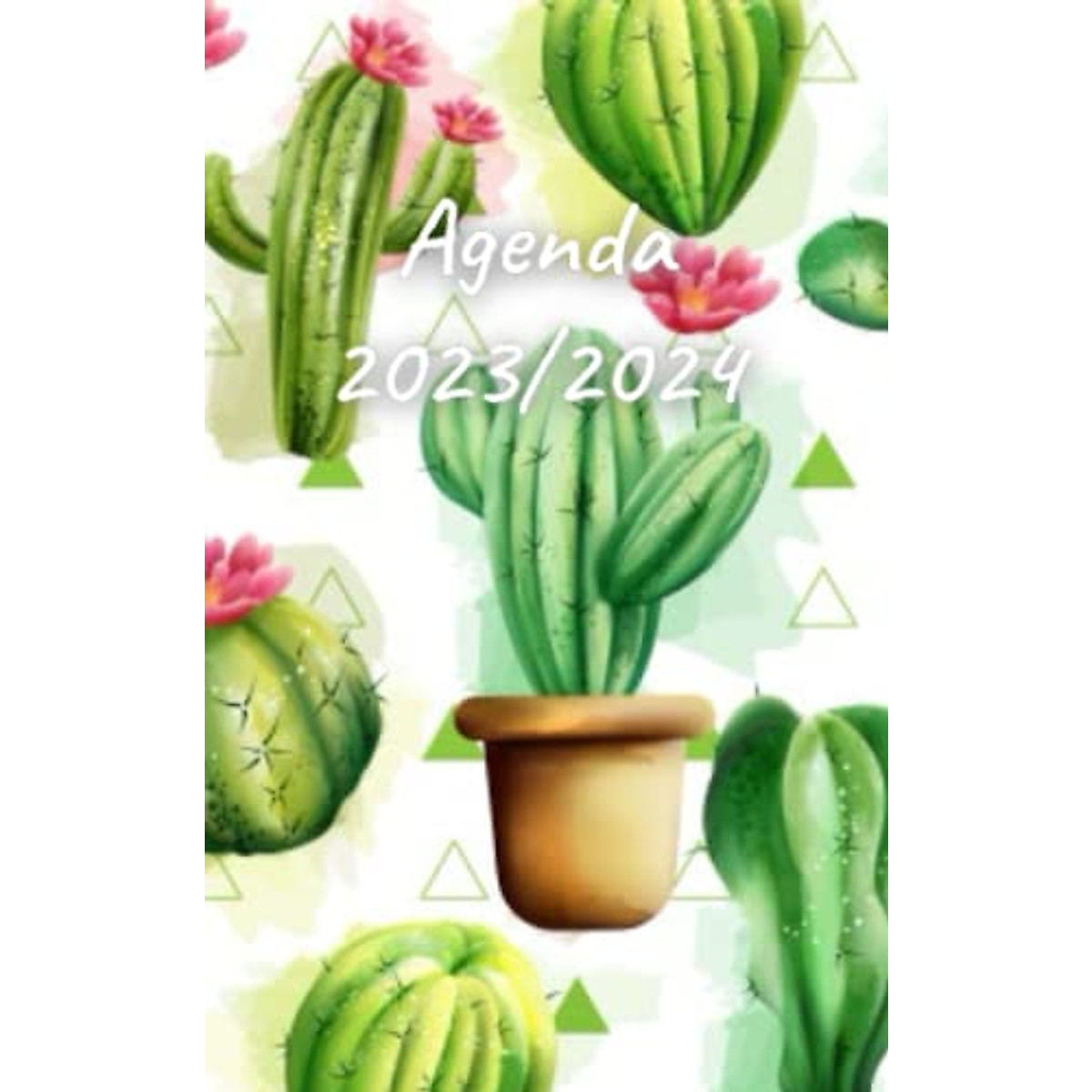 AGENDA 2023/2024: Planificateur scolaire journalier | Emploi du temps | Calendrier | Une page par jour (French Edition)