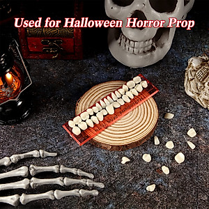 BBTO 6 Sets Acrylic Resin Fake Teeth artificial teeth Denture Replacement tooth prop Synthetic Resin Denture for Replacement, 112 Pieces, 23 A2