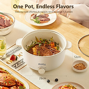 OLEGA Electric Hot Pot - 3L Portable Electric Pots with Steamer for Cooking Dual Power Adjustment with Non-stick Coating for Dorm, Office, Travel 120V