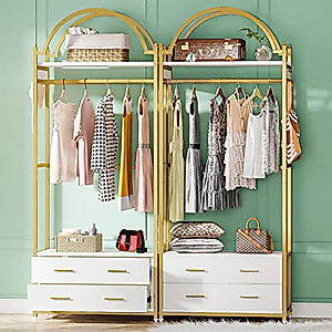 LITTLE TREE Tall Clothes Rack Shelves with Shelves Drawers and Hooks, Modern Arced Closet Organizer Heavy Duty Garment Clothing Freestanding Wardrobe Storage Shelving with Hanging Rod, White Gold