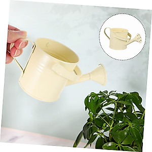 10 pcs Pour and Sprinkler Can Mini Spout Galvanized Plant Portable Yard Tin Pot Succulents Long Bucket Small for Cans Shabby Spray Kettle Display Metal Watering Sturdy