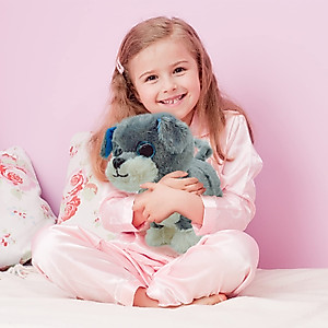 YH YUHUNG Walking and Barking Dog Toy Pet with Remote Control Leash Walking Puppy Toys for Kids Electronic Pets for Girls (Blue)