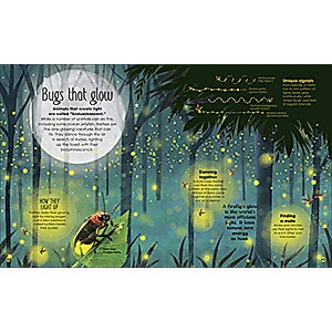 The Book of Brilliant Bugs (The Magic and Mystery of the Natural World)