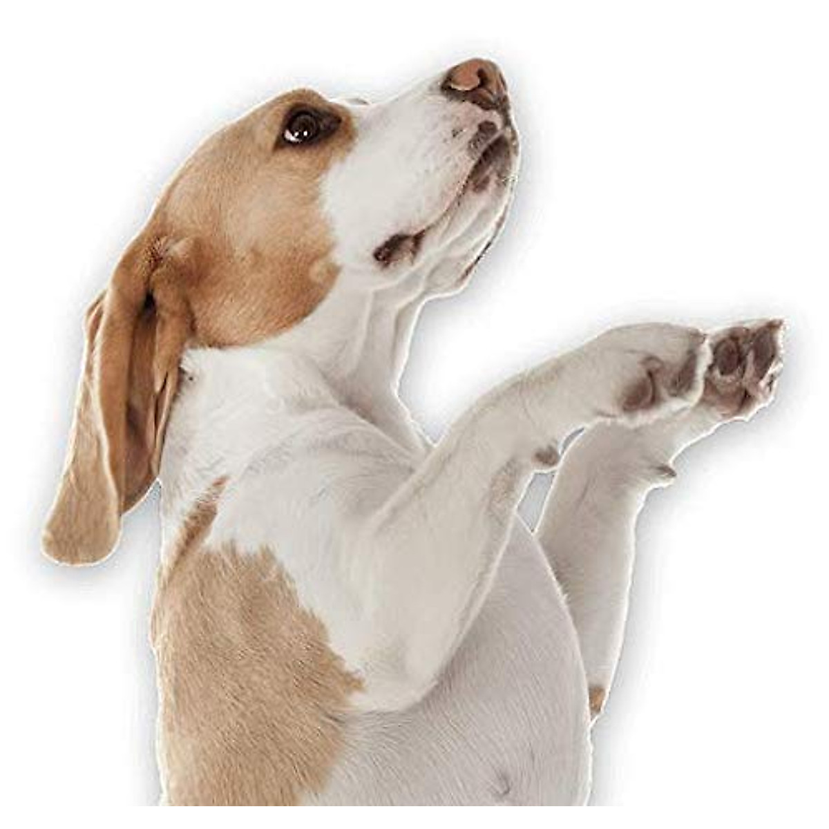 I LOVE MY PETS LLC Dog Joint Supplement chewable - Dog Hip and Joint Support - MAX Strength Formula Chews - pet Joint Support - 240 Treats (2 Bottles)