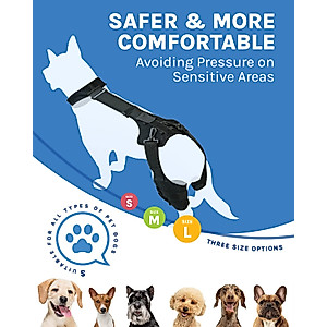 MerryMilo dog knee brace for torn acl hind leg -Upgraded Anti-Slip, Support for Cruciate Ligament Injury, Arthritis, Joint Pain, Muscle Sore, CCL Brace(Size: L, Left Leg)