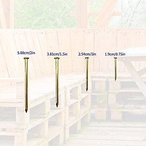 YOUYIDUN - 450 Pcs Nail Assortment Kit, Brass Nails for Hanging Pictures, Gold Finishing Nails Hardware Assortment Set, (0.78 in|1 in|1.57 in|2 in) Small Nails for Picture Hanging/Wood/Concrete Wall