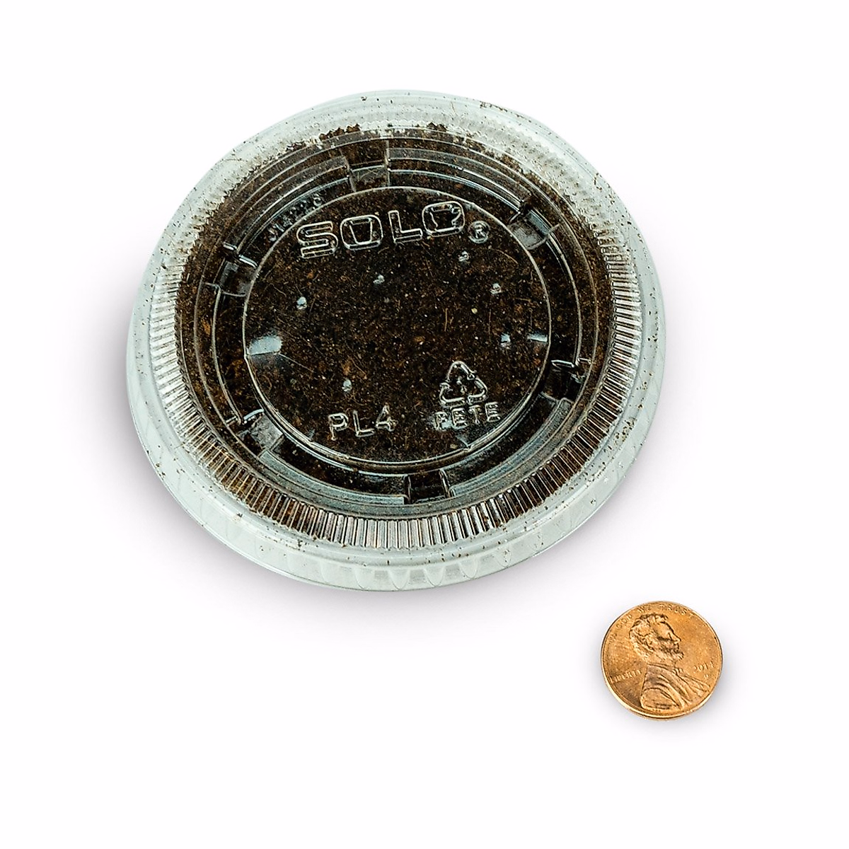 Josh's Frogs Black Soldier Fly Larvae (50 Count - Medium)