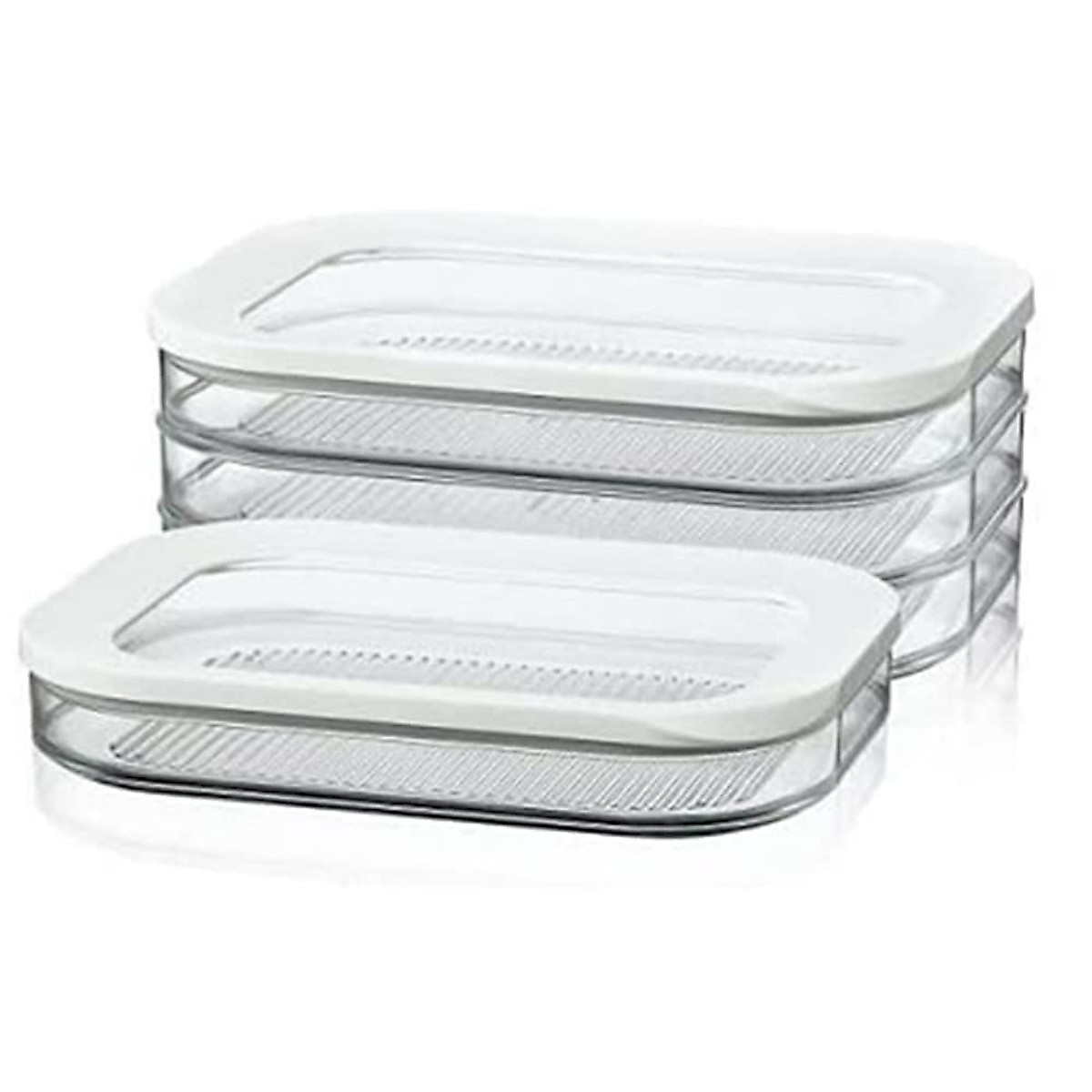 Dewedrt 1.6L with 3 Tier Meat Pieces Storage Box Airtight Lid Dishwasher Safe 3Layer Crisper