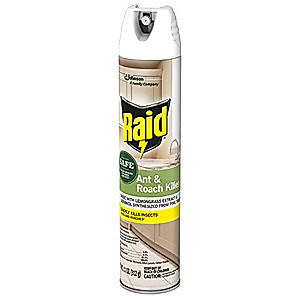 Raid Ant and Roach Killer 11 Ounce (Pack of 3)