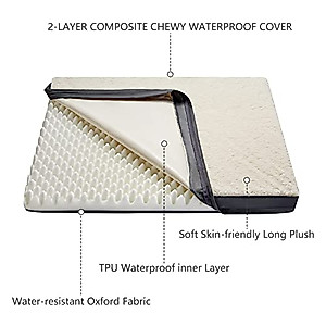 CozyLux Dog Beds for Large Dogs - Large Dog Bed for 65 lbs, Egg-Crate Foam Cat Bed Mat, Removable Washable Cover, Grey 35 X 22 X 3 inch