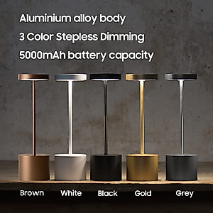 Sikevht 2 Pack Cordless LED Table Lamp, Fast Charge chip，Rechargeable Desk Lamps, 3-Levels Brightness LED Metal USB Table Light for Restaurant/Bedroom/Outdoor/Bar/Coffee Shop (2 Pack Brown)