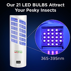 WizTrap 1 Large Plug in Fruit Fly Traps for Indoors! Flying Insect Trap with 21 UV LED Bulbs & 5 Glue Board Refills! Gnat Trap Used as a Fruit Fly Killer, Indoor Fly Trap, Mosquito Trap, Gnat Killer!