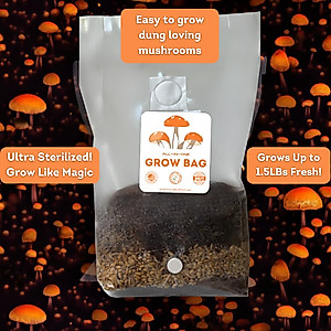 MycoLabsDirect All-in-One Mushroom Grow Bag - 3lbs with Grain and Substrate - Grow Edible and Medicinal Mushrooms at Home with Pre-Sterilized Bags