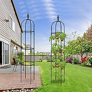 Garden Obelisk Trellis for Climbing Plants, Rustproof Plastic Coated Metal Plant Support, Garden Tower Trellis Indoor Potted Plant, Tomato Plant Cage for Support Rose, Vegetable Vines(1 Pack)