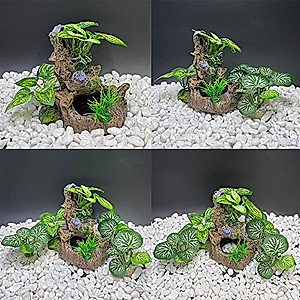 Smoothedo-Pets Betta Fish Tank Cave Decorations Aquarium Decoration Ornaments Accessories Betta Leaf pad Hammock (Fish Cave Toy-A)