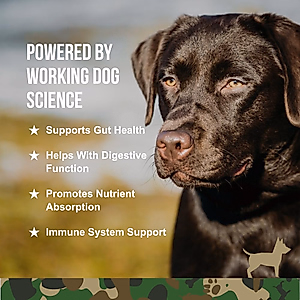 O.G.B. Operation Good Boy - SRE: Digestion Supplement/Probiotic for Pets - 90 Count Soft Chews - 12.7oz - Made Natural Ingredients - Veteran Owned