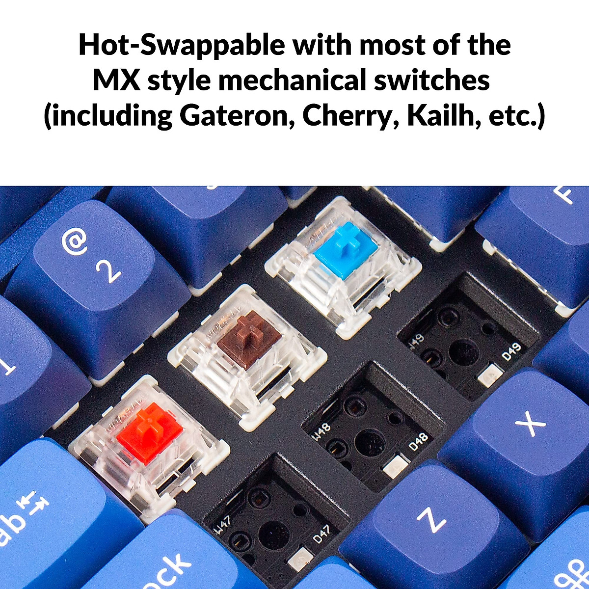Keychron Q1 RGB Wired Custom Mechanical Keyboard, 75% Layout QMK/VIA Programmable Macro with Hot-swappable Gateron G Pro Red Switch Double Gasket Compatible with Mac Windows Linux (Blue) -Version 2