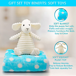 SoSoCute Blue Dog Gift Box - Puppy Chew Toy Set of 5 - Puppy Care Package with Dog Blanket, Squeaky Plush, Rubber Puppy Teether, Teething Ball, and Treat Ball for Small and Medium Dogs