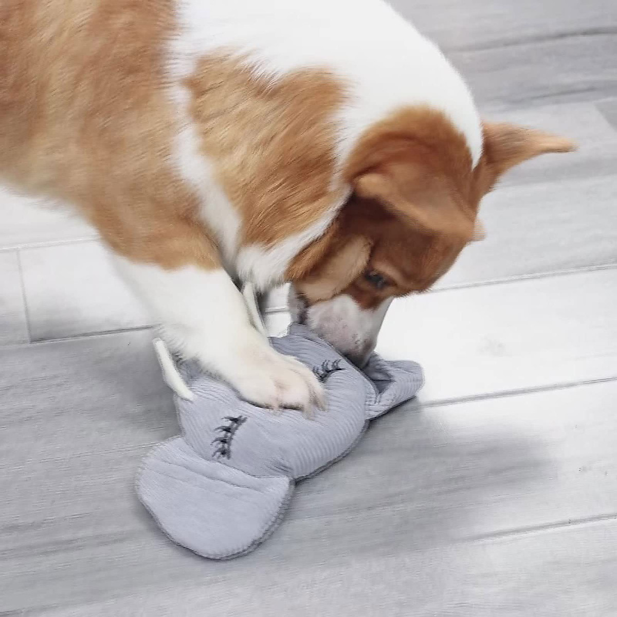 GRABLOOM Dog Plush Toy Snuffle Mat Stuffed Treat Dispensing Elephant Interactive Chew Toys Relieving Stress Improving for Health Dog Plush Toys for Large Dogs Aggressive Chewers