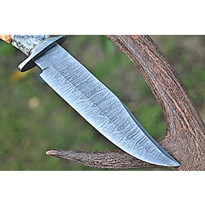UK UNIQUE SHARP KNIVES BK-3002 Handmade Damascus Steel 12.50 Inches Hunting Knife - Exotic Coloured Bone Handle