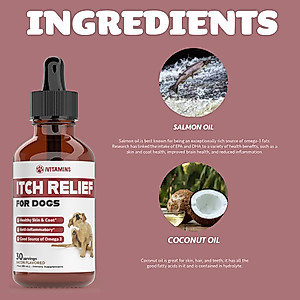 Itch Relief for Dogs | Dog Itch Relief | Helps to Naturally Relieve Itching, Allergies, & More by Improving the Skin & Coat Health | Allergy Relief for Dogs Itching | Dog Itching Skin Relief | 1 fl oz