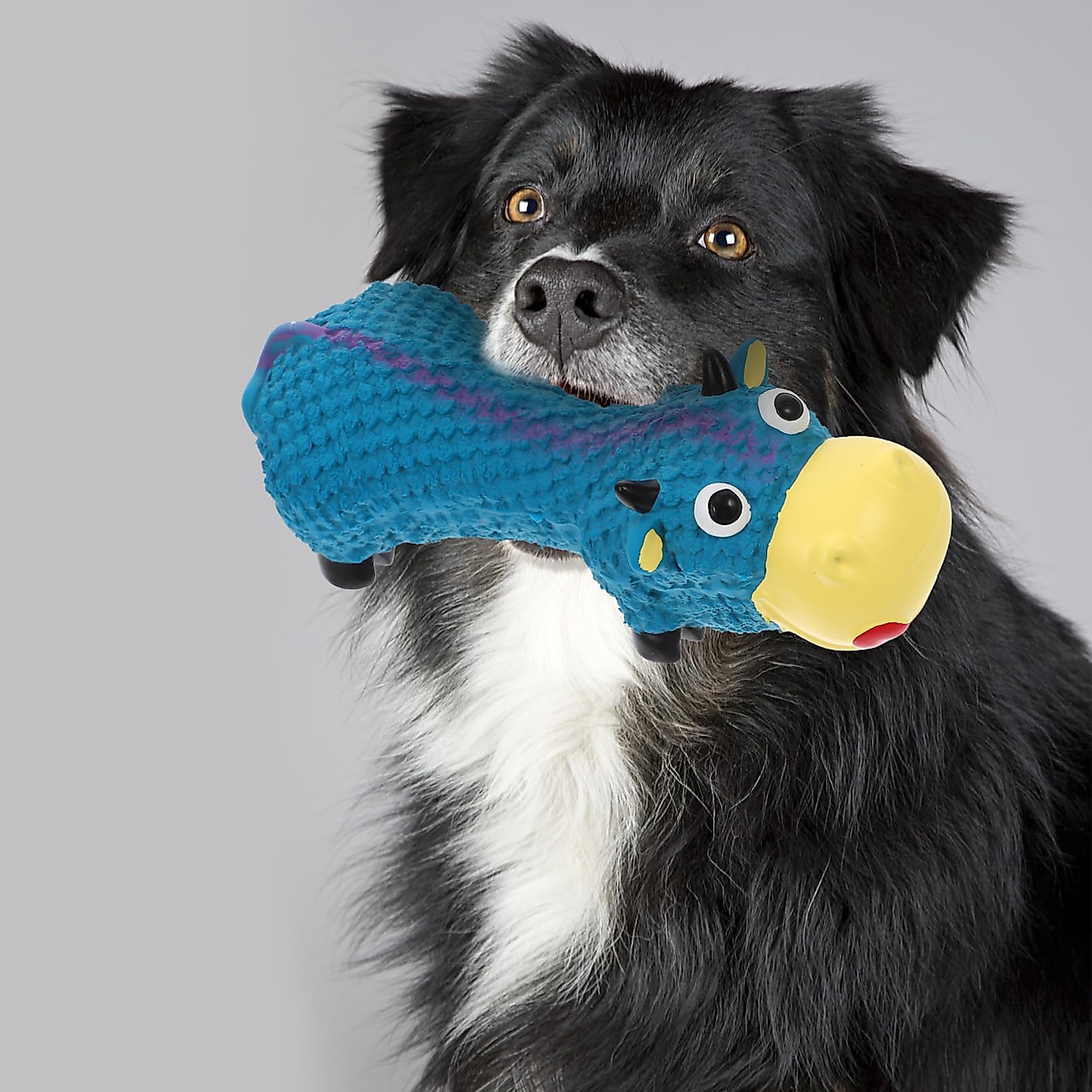 Milisten Pet Latex Toys Dog Toys for Small Dogs Small Dog Toy Pet Grinding Toy Small Dog Squeaky Toys Puppy Dental Toy Dog Toys Small Dog Molar Toy Pet Toys Small Pacifier Chew