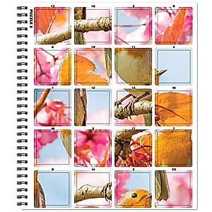 Brain Games - Sticker by Number: In the Garden (Easy - Square Stickers): Create Beautiful Art With Easy to Use Sticker Fun!