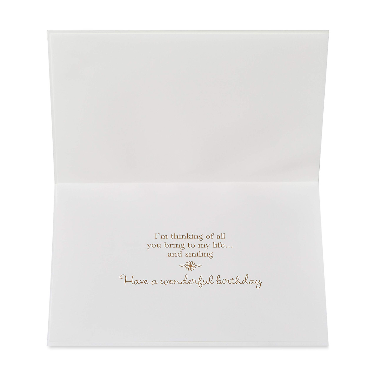 Papyrus Birthday Card for Her (All You Bring)