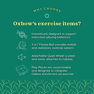 Oxbow Enriched Life Small Animal Toys - Run & Hide Play Toy for Syrian & Large Breed Hamsters (10 inch)